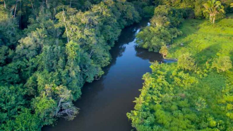 Se unen ocho países en la protección de la Cuenca del Río Amazonas ...